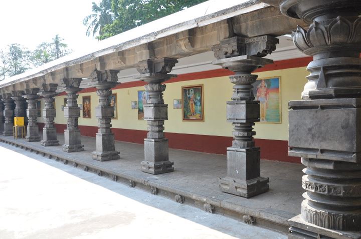 Temple View | Srikurmam